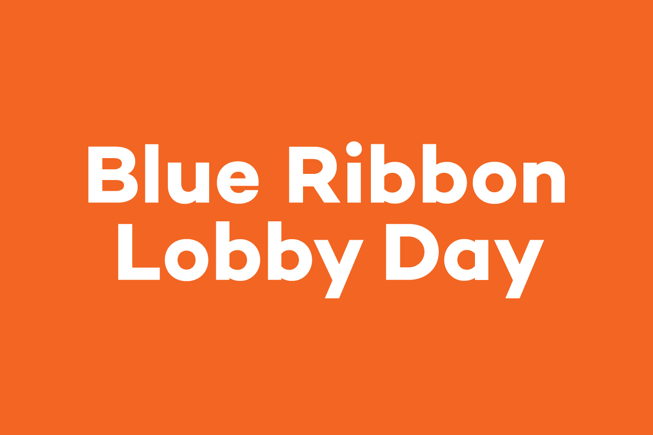 Blue Ribbon Lobby Day 2019 with Texas Democratic Party - Volunteer in ...
