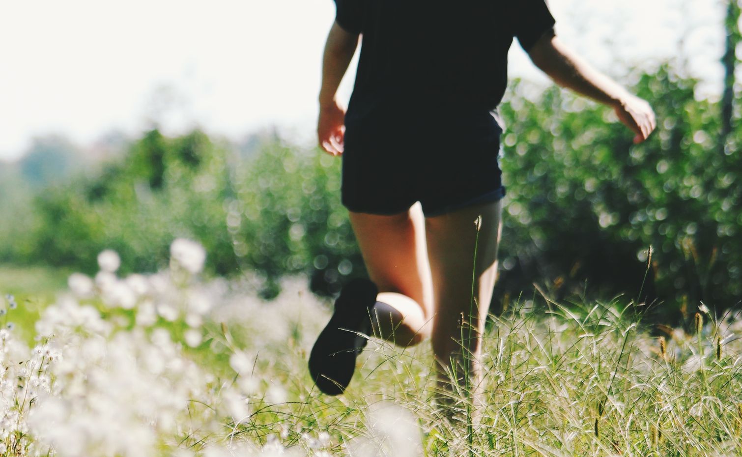 Santa Clara County Parks And Recreation Department | Events, Volunteer ...