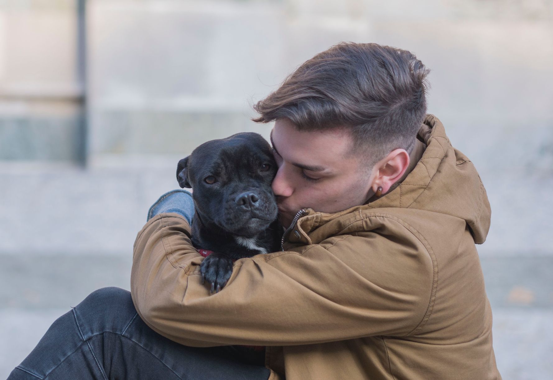 Dogs Without Borders | Events, Volunteer Opportunities & How to Get ...