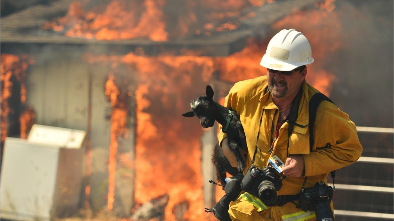 California Fire Foundation | Events, Volunteer Opportunities & How to ...