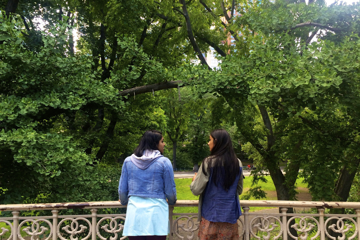 Fort Greene Park Conservancy | Events, Volunteer Opportunities & How to ...