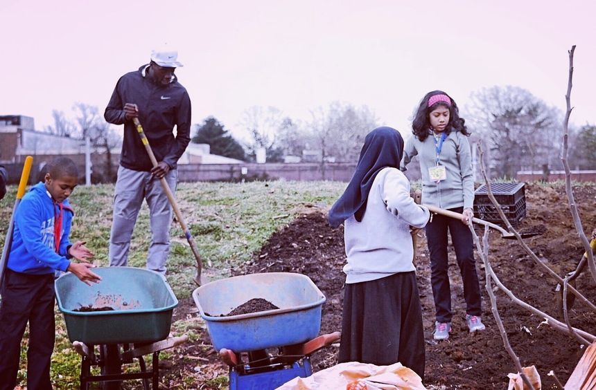 Sacred Seeds | Events, Volunteer Opportunities & How to Get Involved