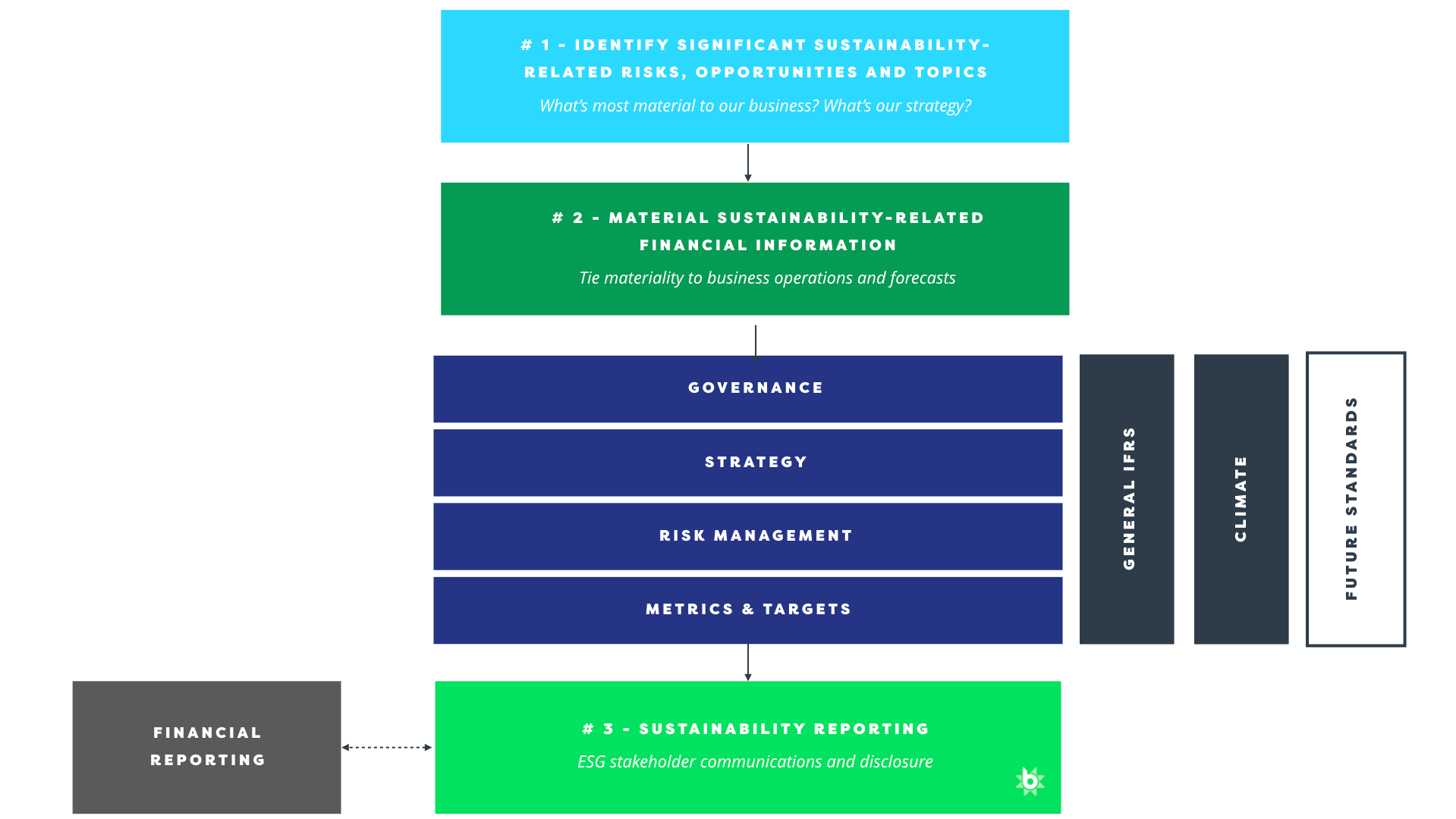 ISSB Sustainability Reporting Disclosure Standards IFRS Overview